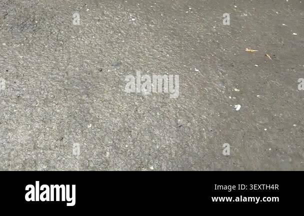 close up of a wet asphalt background, asphalt backdrop Stock Video ...