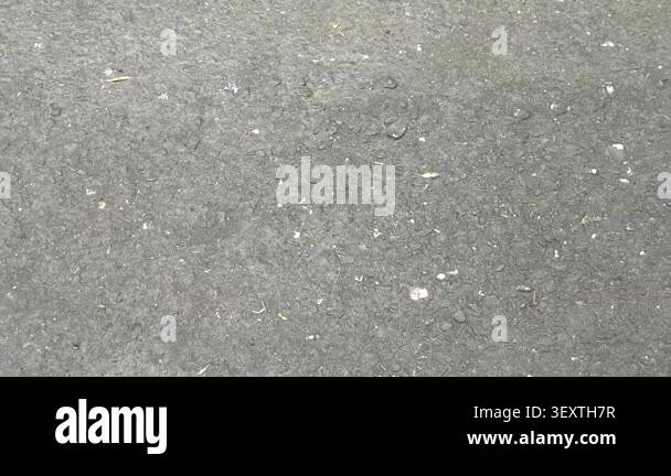 close up of a wet asphalt background, asphalt backdrop Stock Video ...