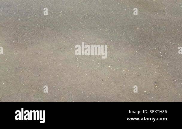 close up of a wet asphalt background, asphalt backdrop Stock Video ...