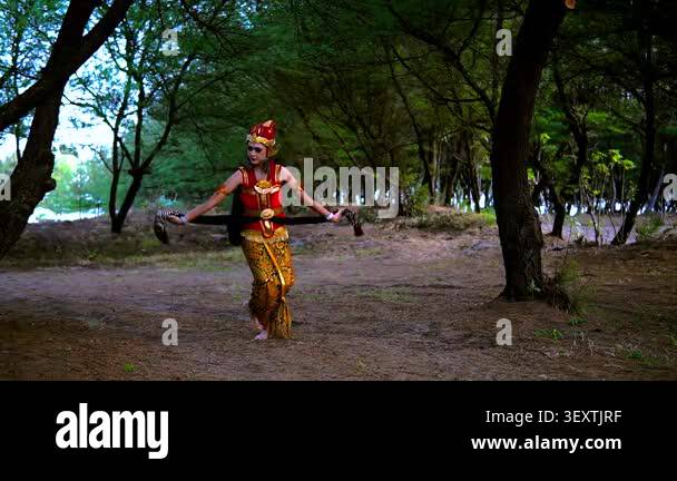 Woman in ornate traditional costume performs graceful dance sequence ...