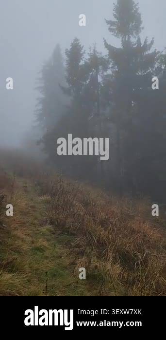 fog in the mountains Stock Video Footage - Alamy