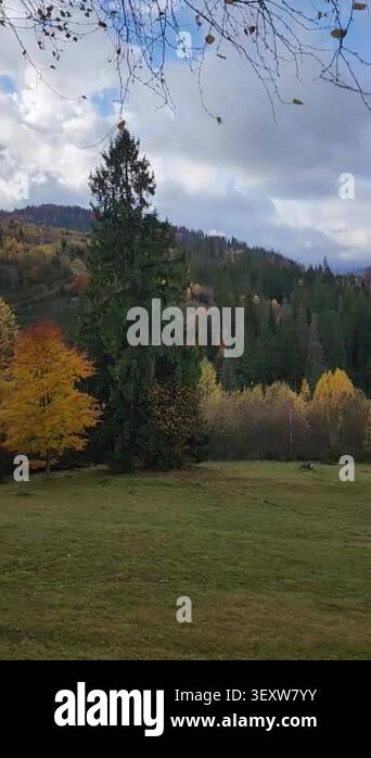 colorful autumn landscape in the carpathian mountains Stock Video ...