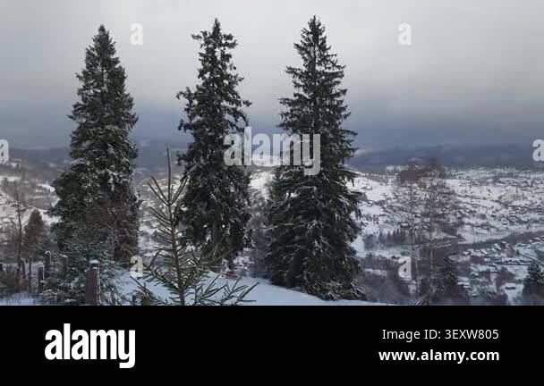 beautiful winter landscape with snow covered trees Stock Video Footage ...