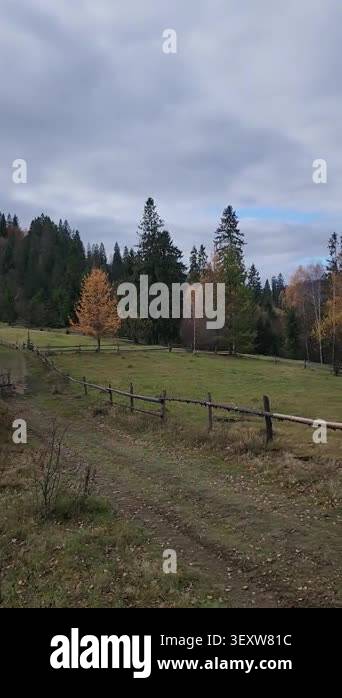 autumn landscape with trees and leaves Stock Video Footage - Alamy