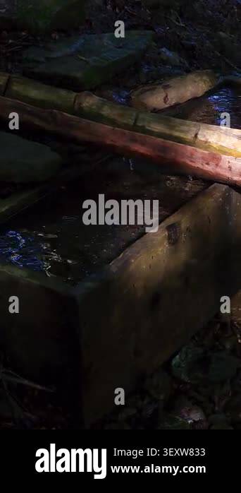 wooden bridge in the forest Stock Video Footage - Alamy