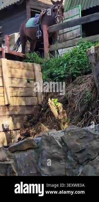 a wooden house in the forest Stock Video Footage - Alamy