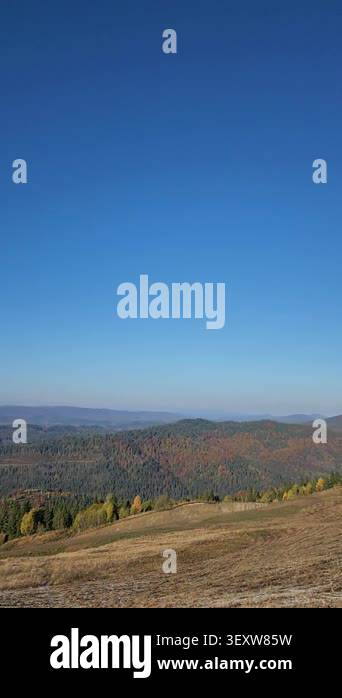 autumn landscape with trees and forest Stock Video Footage - Alamy