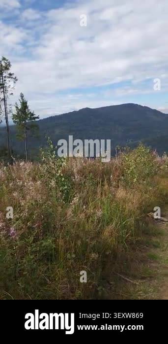beautiful view of the mountains Stock Video Footage - Alamy