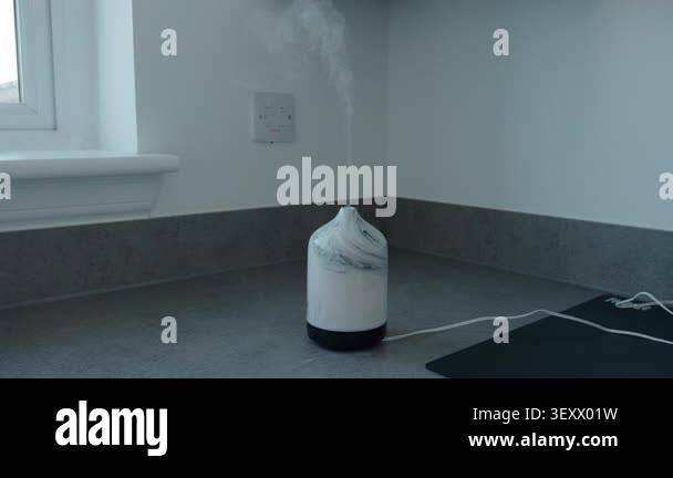 Quiet room with mist rising from a defuser device. Steam gently curls ...