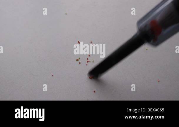 A person uses a vacuum tool to clean up small beads from a flat surface ...