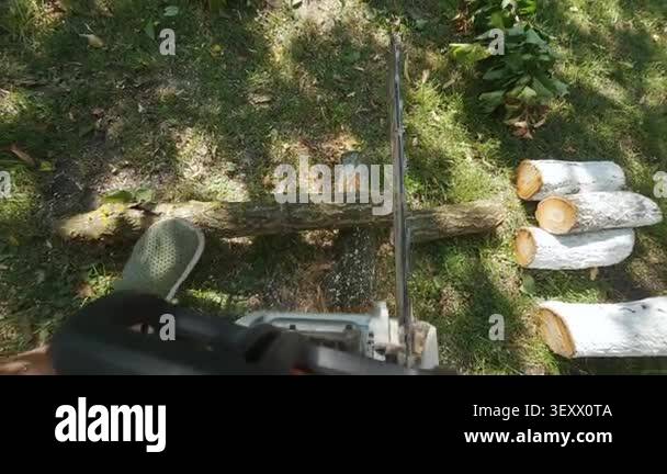 Chainsaw Cutting Tree, Wood Shavings, Dust Fly from Under the Chains ...