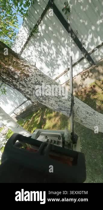 Vertical format video of POV Chainsaw Cutting a Tree in Slow Motion ...