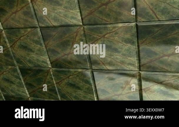 Fluid Camera Motion Over Rainforest Green Marble Tiles Highlighting ...
