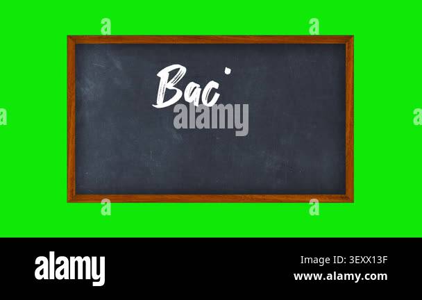 Back to School Text on a Chalkboard Mounted on a Green Screen, Perfect ...