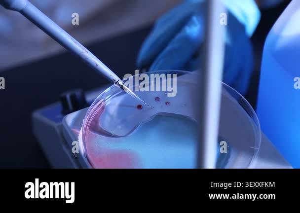 laboratory glass with blood Stock Video Footage - Alamy