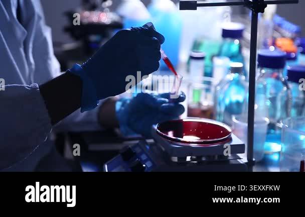 scientist in a laboratory Stock Video Footage - Alamy