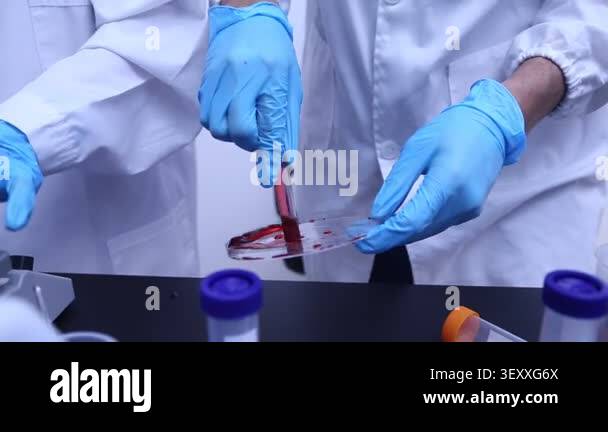 scientist working in laboratory, research and development Stock Video ...