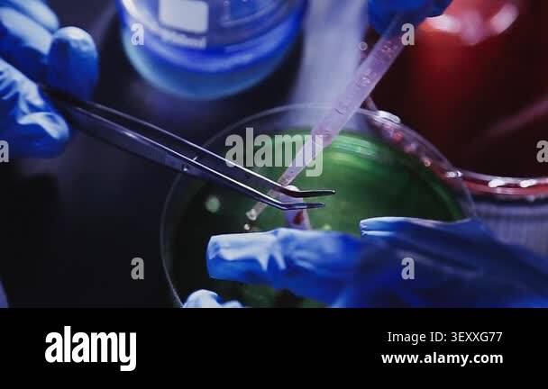 scientist in protective gloves holding glass with liquid in laboratory ...