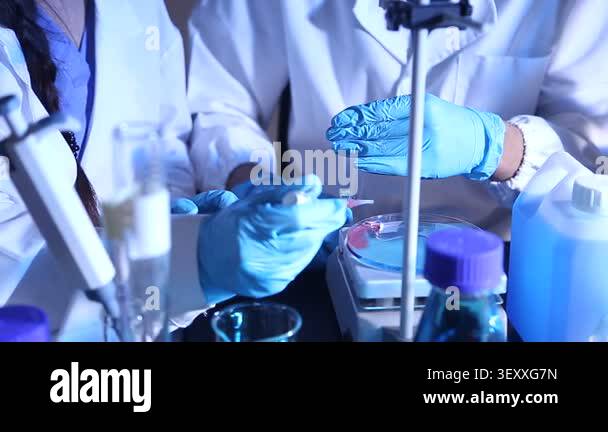 laboratory assistant in the lab Stock Video Footage - Alamy