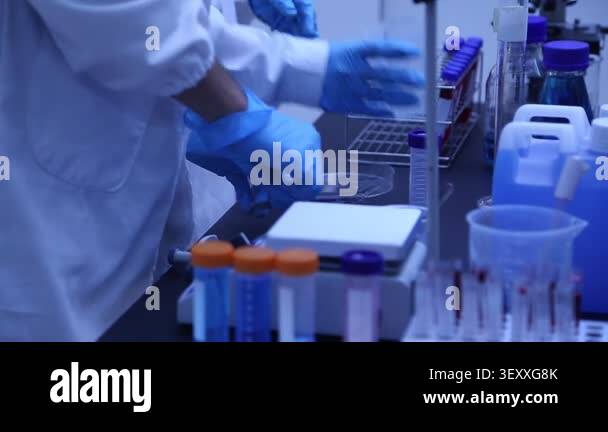 the scientist works with the microscope in a laboratory Stock Video ...