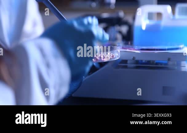 laboratory assistant in the laboratory Stock Video Footage - Alamy