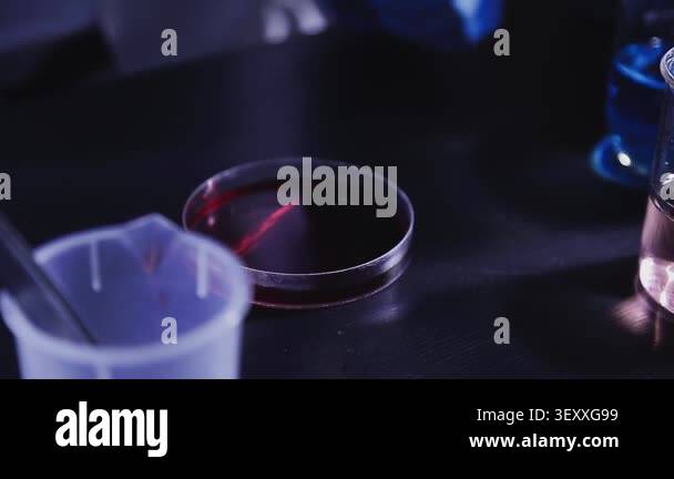 close up of a laboratory worker holding a test tube Stock Video Footage ...