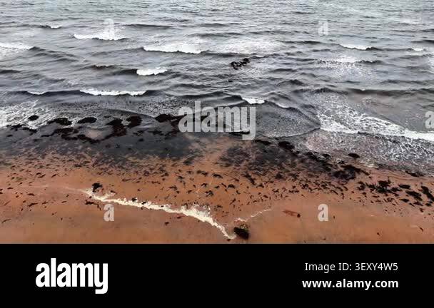 Rising tide with gentle waves covering a sandy beach with seaweed under ...