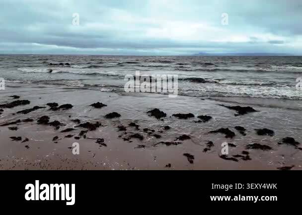 Rising tide with gentle waves covering a sandy beach with seaweed under ...
