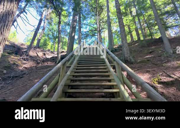 Slow motion footage of a long wooden staircase leading through a ...