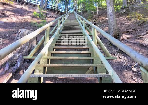 Slow motion footage of a long wooden staircase leading through a ...