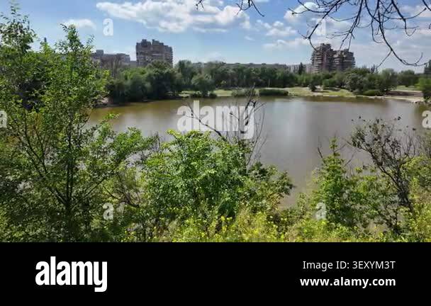 A calm and scenic view of a lake located within a city park, surrounded ...