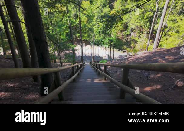 Slow motion footage looking down a long wooden staircase through a ...