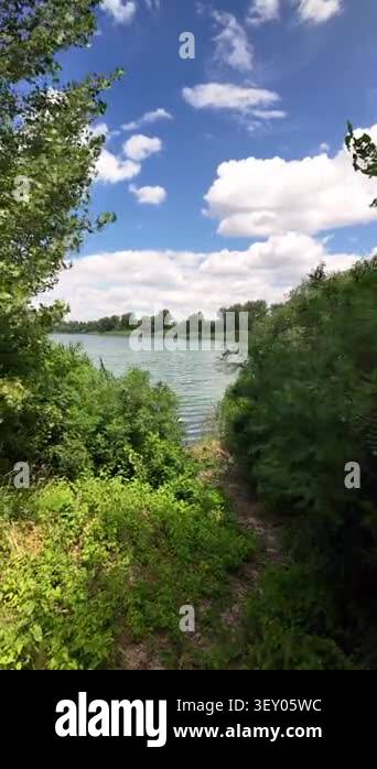Cinematic 4K nature footage. Lush green leaves frame a tranquil river ...
