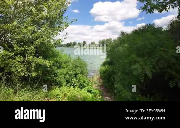 Cinematic 4K nature footage. Lush green leaves frame a tranquil river ...