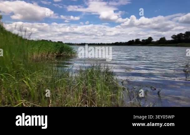 Cinematic 4K nature footage. Lush green leaves frame a tranquil river ...