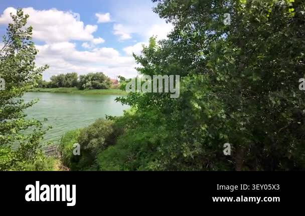 Cinematic 4K nature footage. Lush green leaves frame a tranquil river ...