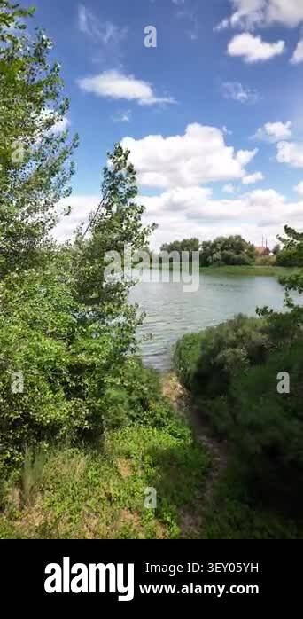 Cinematic 4K nature footage. Lush green leaves frame a tranquil river ...