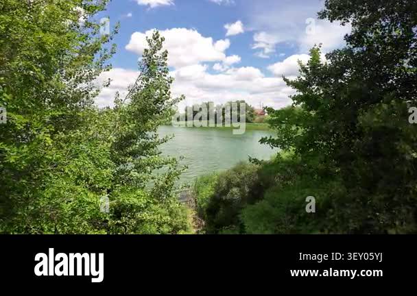 Cinematic 4K nature footage. Lush green leaves frame a tranquil river ...