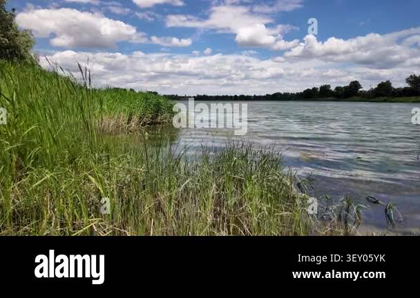 Cinematic 4K nature footage. Lush green leaves frame a tranquil river ...