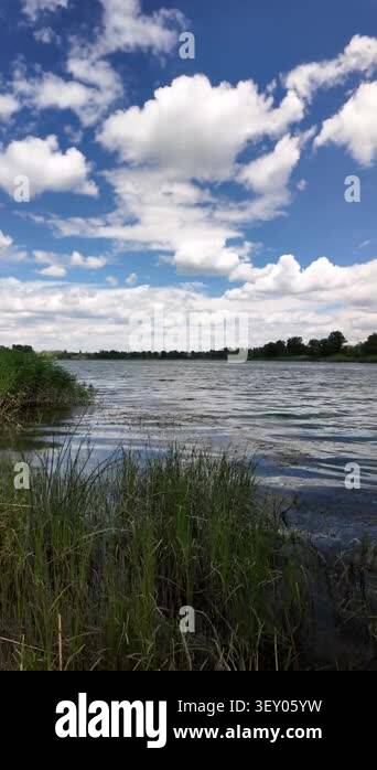 Cinematic 4K nature footage. Lush green leaves frame a tranquil river ...