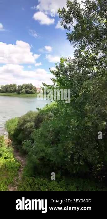 Cinematic 4K nature footage. Lush green leaves frame a tranquil river ...