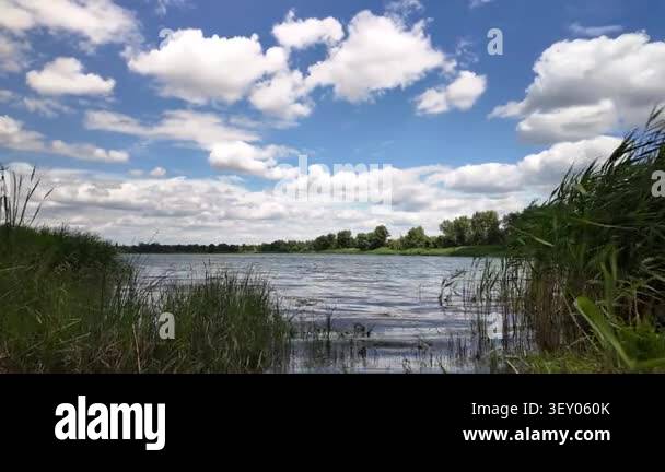 Cinematic 4K nature footage. Lush green leaves frame a tranquil river ...