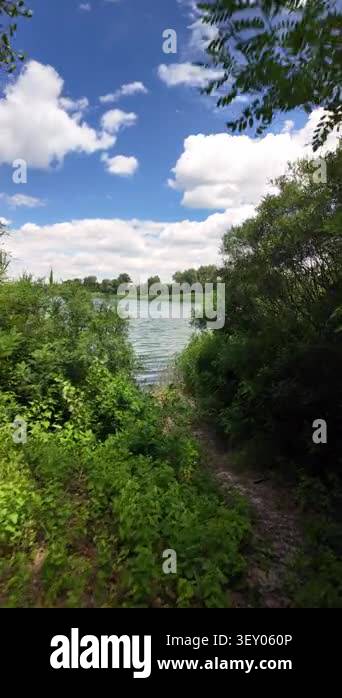 Cinematic 4K nature footage. Lush green leaves frame a tranquil river ...