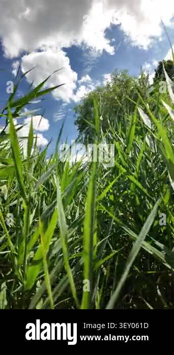 Cinematic 4K 24fps footage with natural motion blur. A dynamic low ...