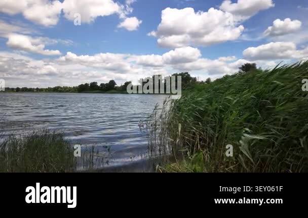 Cinematic 4K nature footage. Lush green leaves frame a tranquil river ...