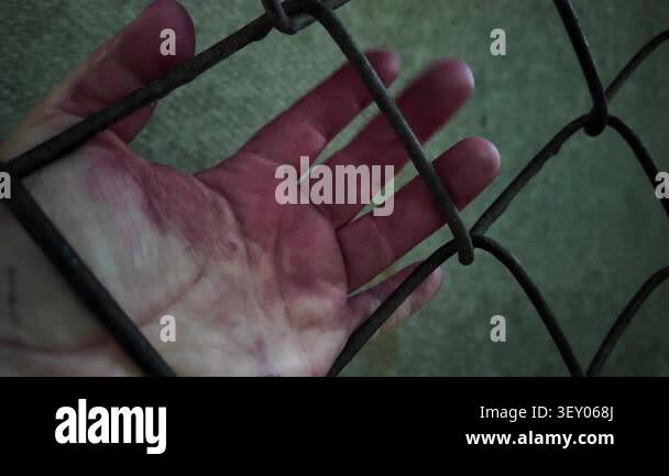 Cinematic 4K 24fps footage with natural motion blur. Close-up of a ...