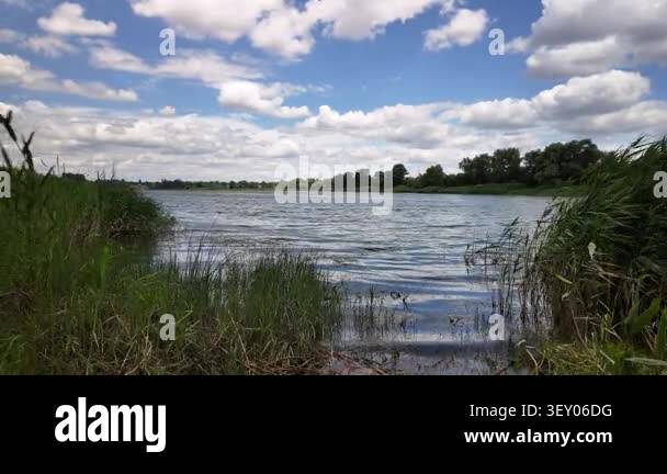 Cinematic 4K nature footage. Lush green leaves frame a tranquil river ...