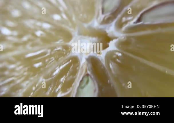Macro closeup sliced yellow lemon, organic fresh citrus fruit slice ...