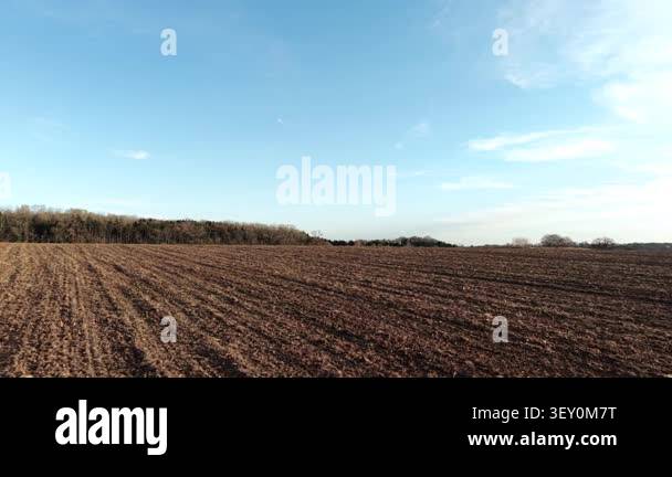 Cultivated field brown soil stretching across countryside with forest ...