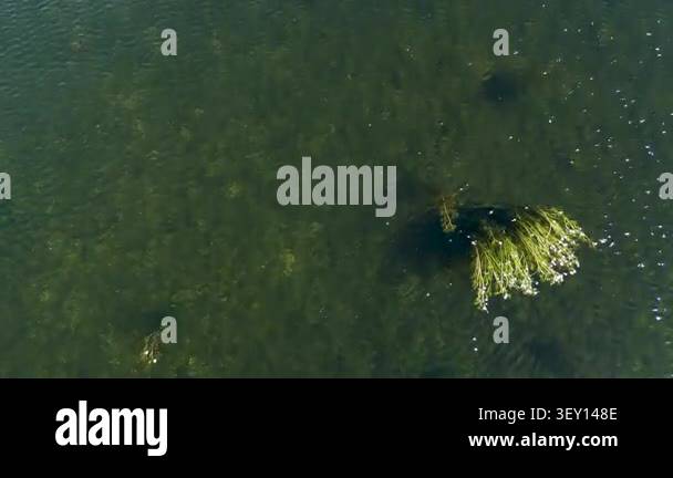 Cinematic aerial shot revealing the tranquil Minho River. The clear ...
